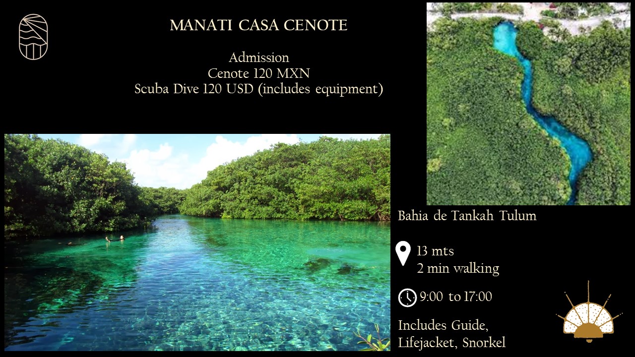 Local Cenotes Guide – Nerea Tulum